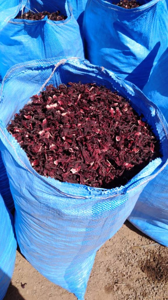 Hibiscus Flowers - Egyptian herbs, and spices exporters,suppliers ...