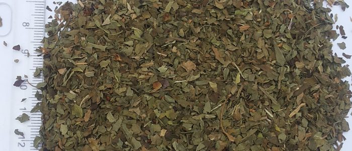 Basil - Egyptian herbs, and spices exporters,suppliers,wholesalers ...